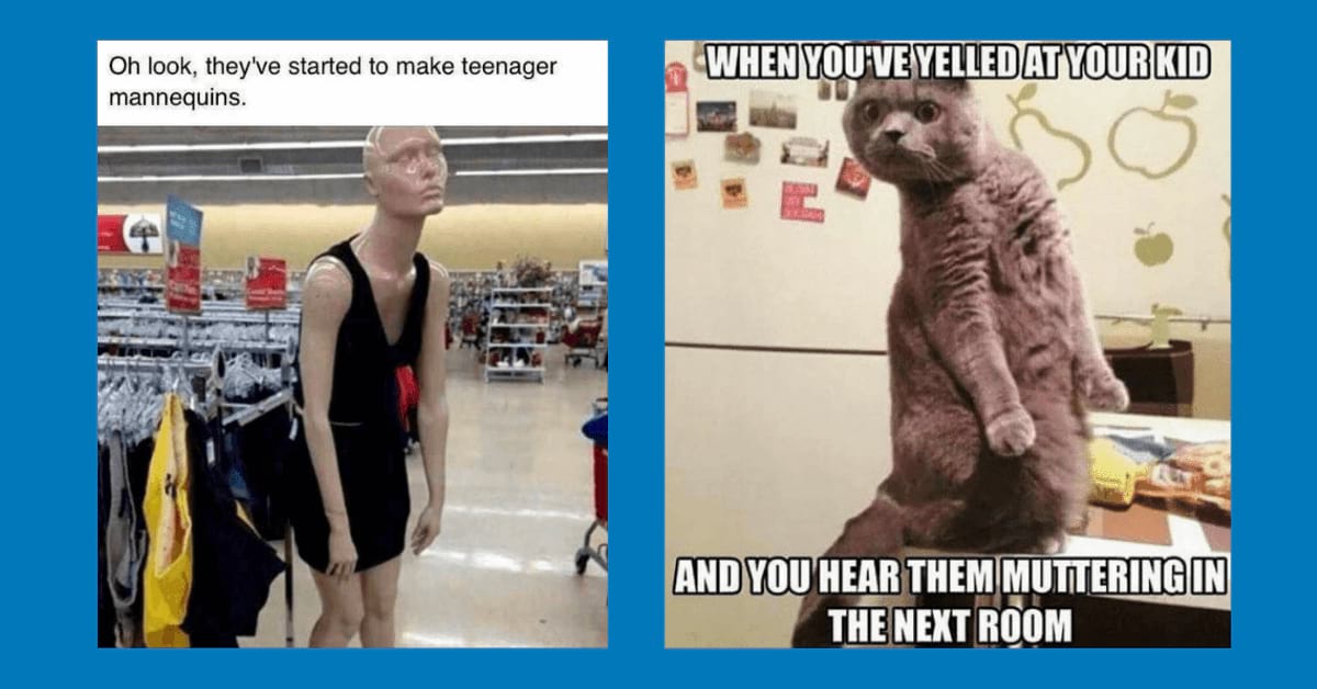 20 Memes that PERFECTLY Sum Up Parenting Teenagers | SIE